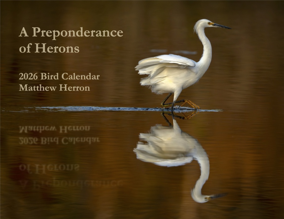 2026-calendar – Matthew Herron